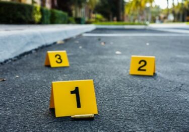 What Is Capital Murder? | Key Elements + Examples Inside